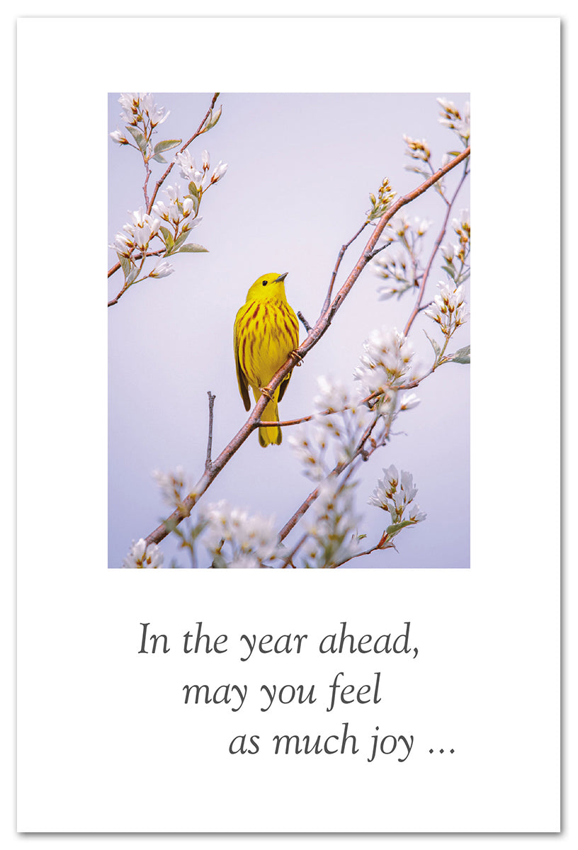 Yellow Warbler card – Paper Fiesta