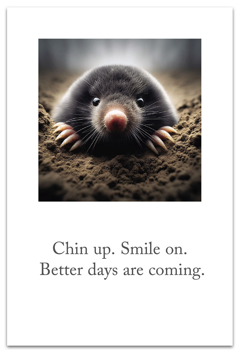 Cute Mole card – Paper Fiesta